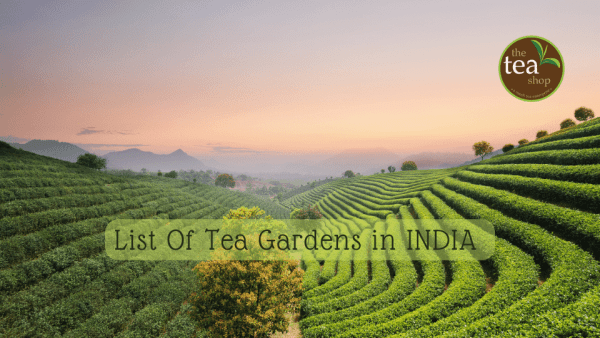 List Of Tea Gardens in INDIA - Get Best Tea Online at Best Prices From ...