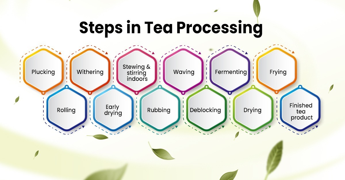 Steps in Tea Processing - The tea shop