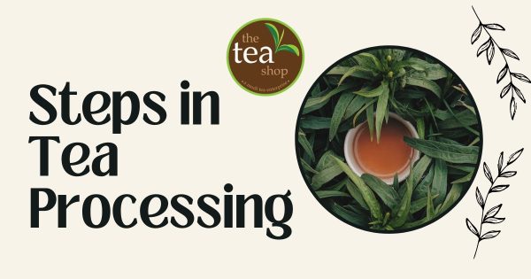Steps in Tea Processing - The tea shop